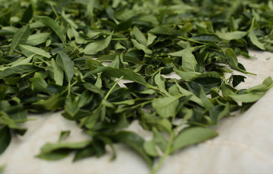 Recycling Tea – Two Trees Tea House